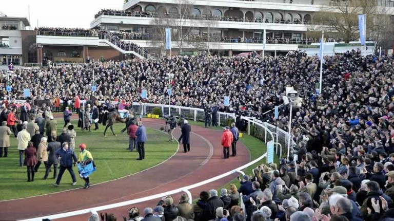 Cheltenham Festival - Festivals of Racing