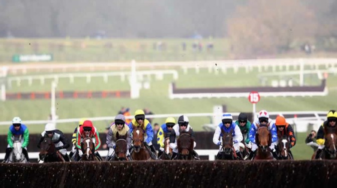 Cheltenham Festival - Festivals of Racing