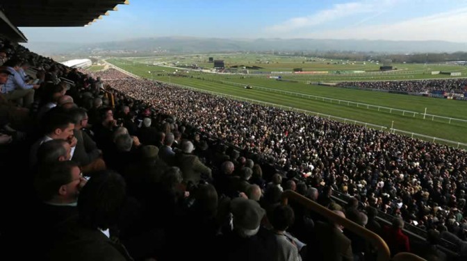 Cheltenham Festival – Festivals of Racing